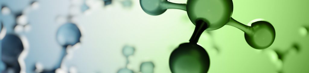 Biomethane injection to the grid - Kromschroeder